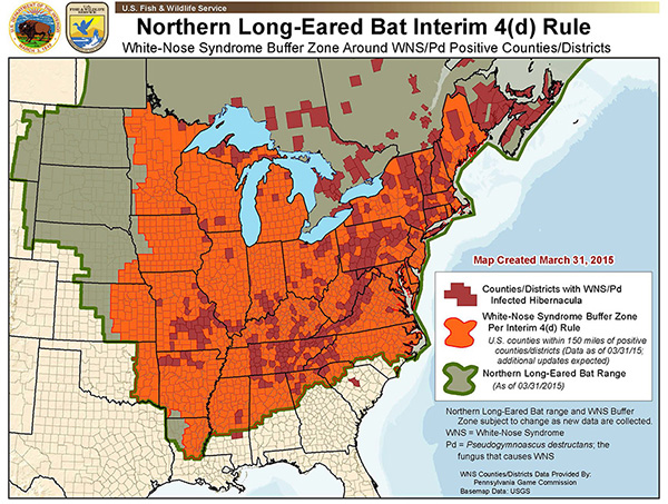 Wetland Studies and Solutions, Inc.